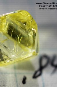 Single Octahedral Diamond Crystals | Natural Rough Diamond Sales